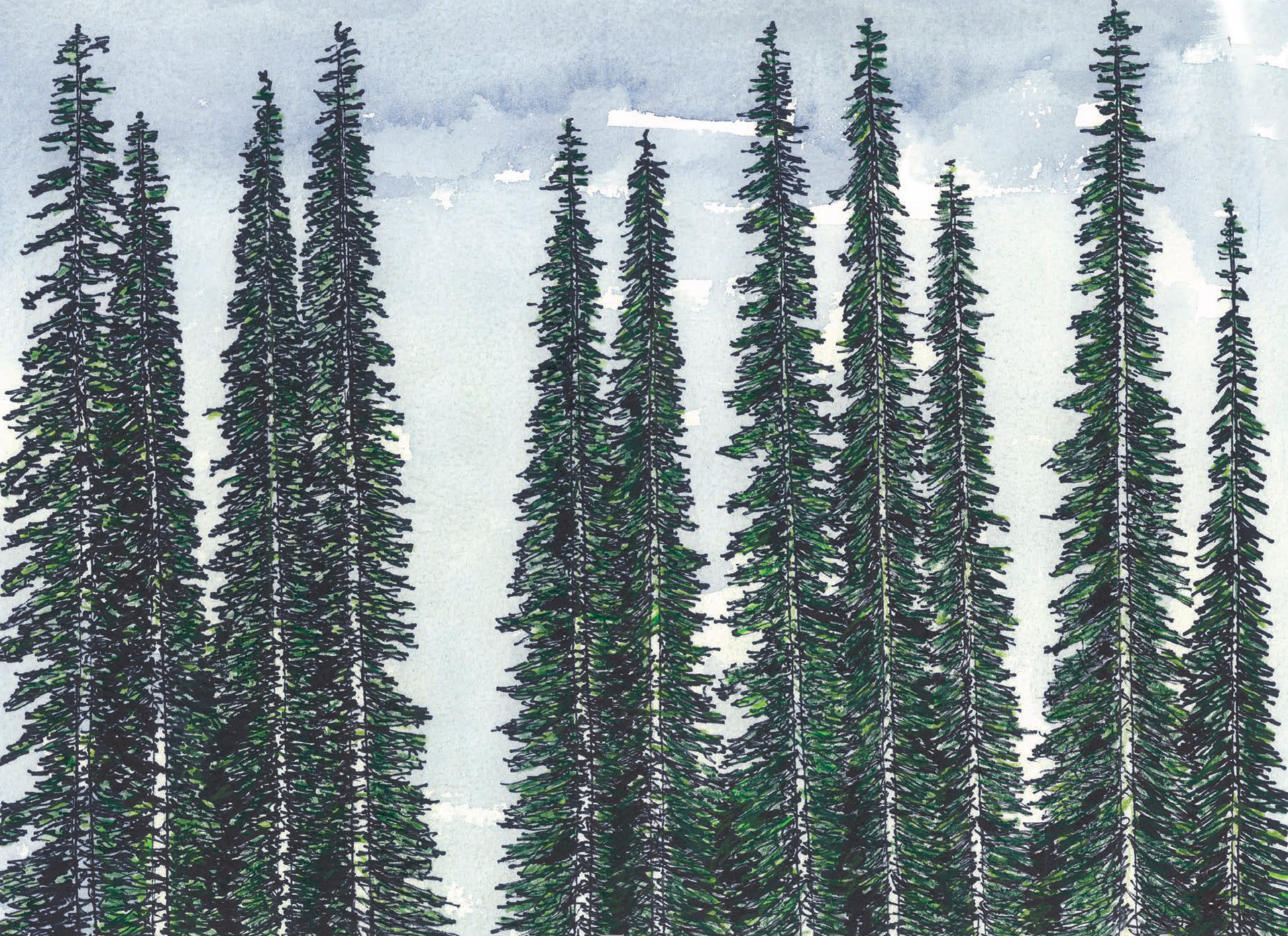 Lymph & sounds - Paola Lenti