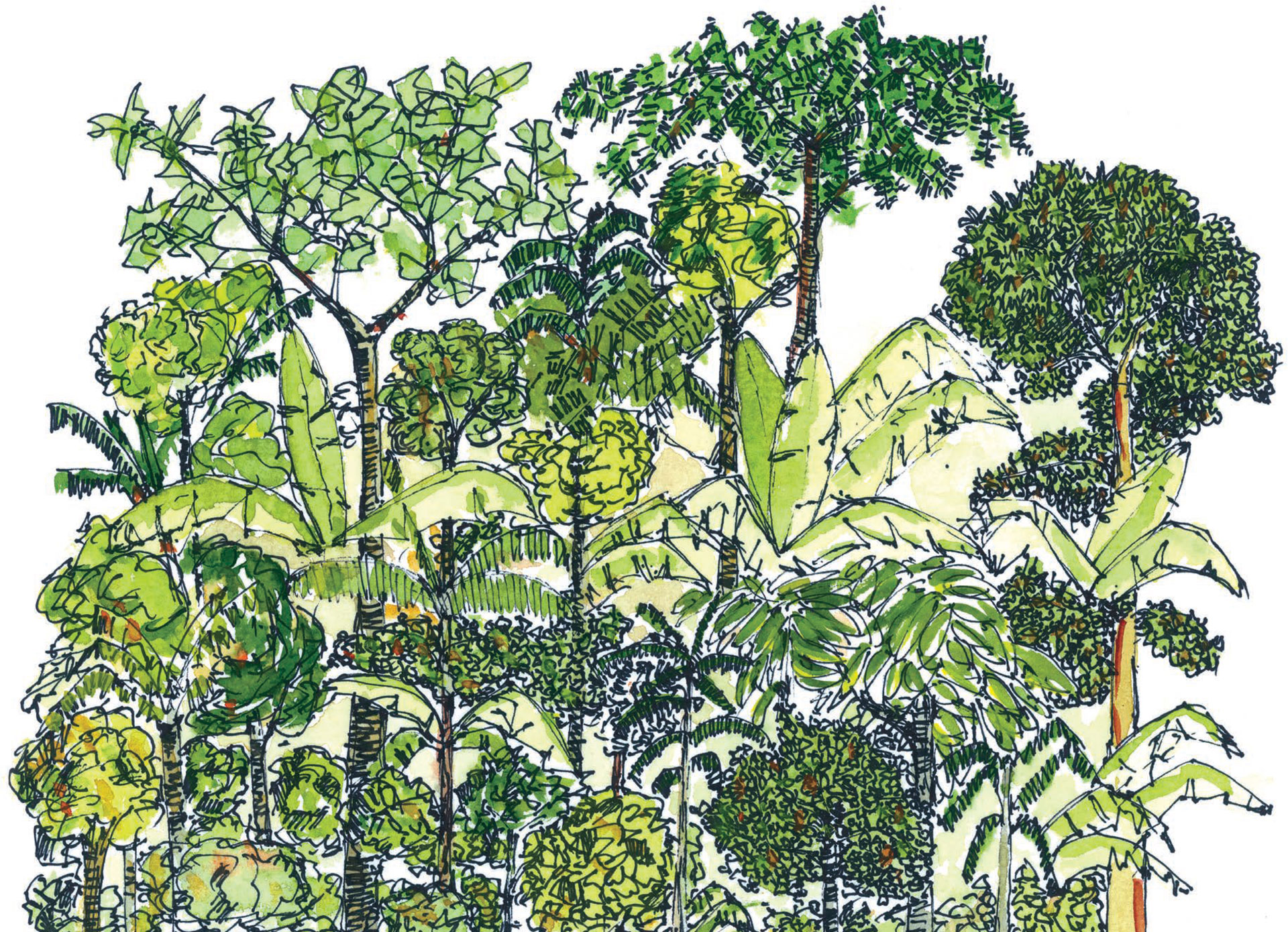 Lymph & sounds - Paola Lenti